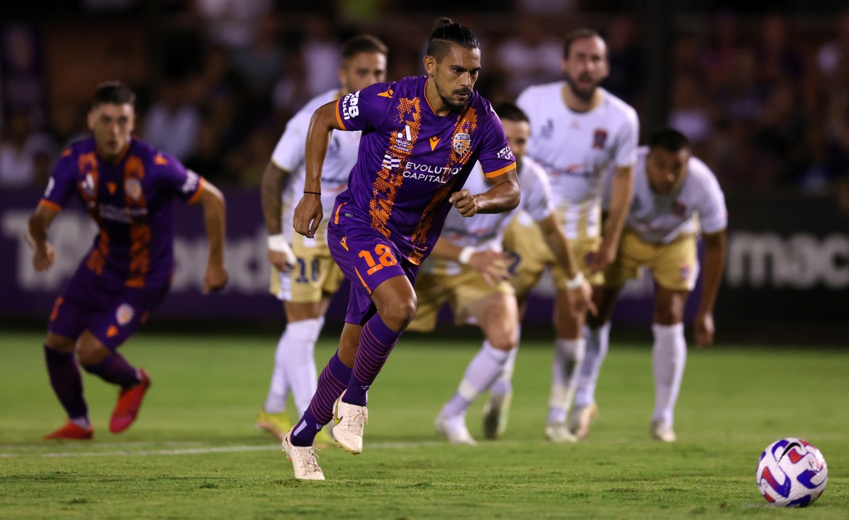 David Williams - Perth Glory