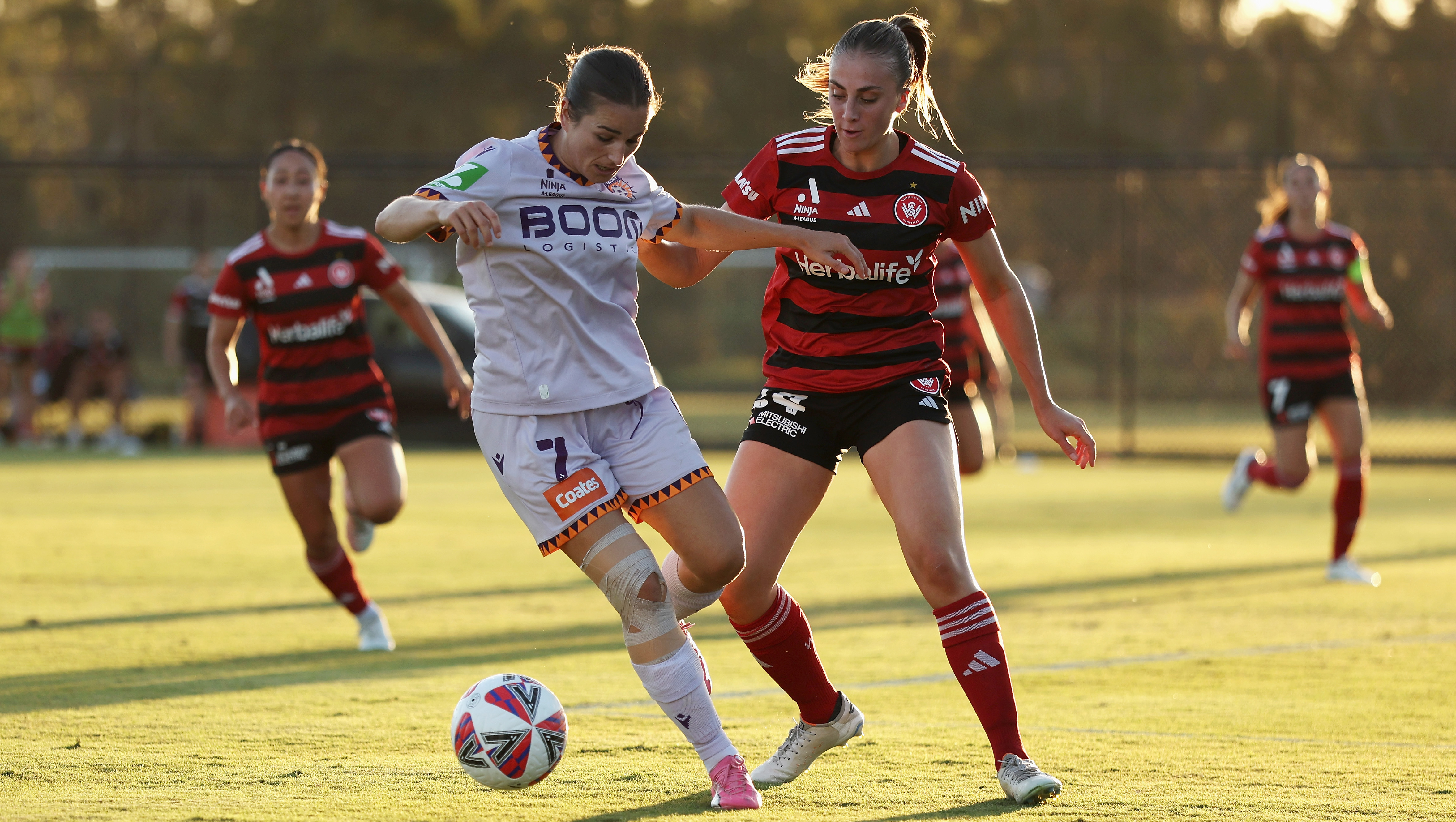 ALW In Focus: Megan Wynne - Perth Glory